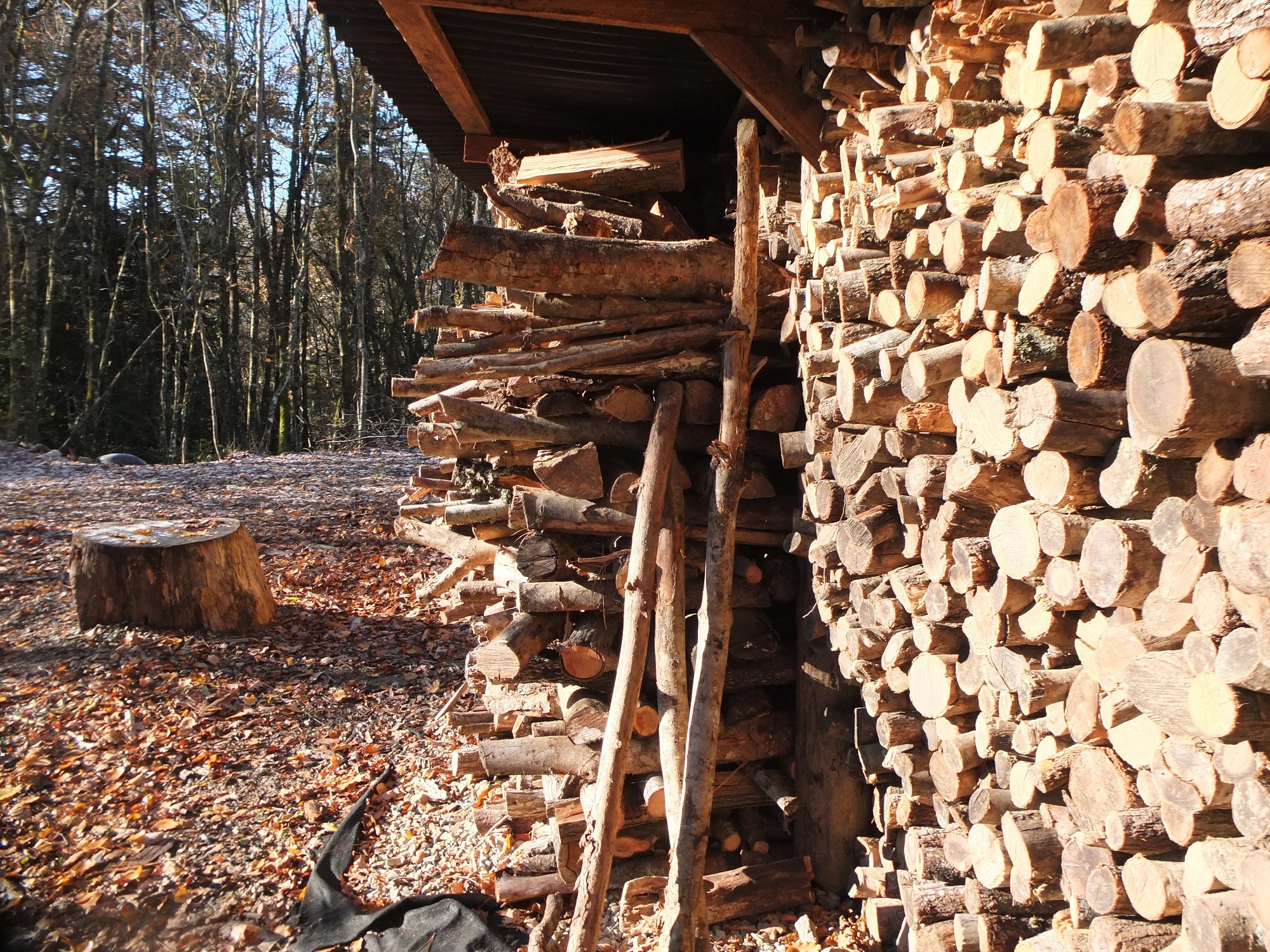 The Zen Of Stacking Wood - Domaine Lescure Retreats